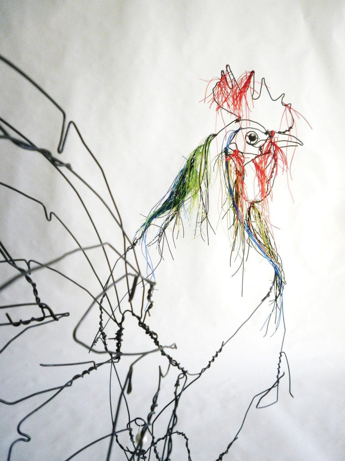 Les incroyables sculptures en fil de fer de David Oliveira