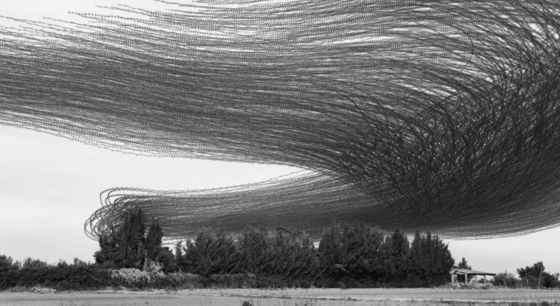Xavi Bou, sublime le vol des oiseaux grâce à ses "Ornitographies"