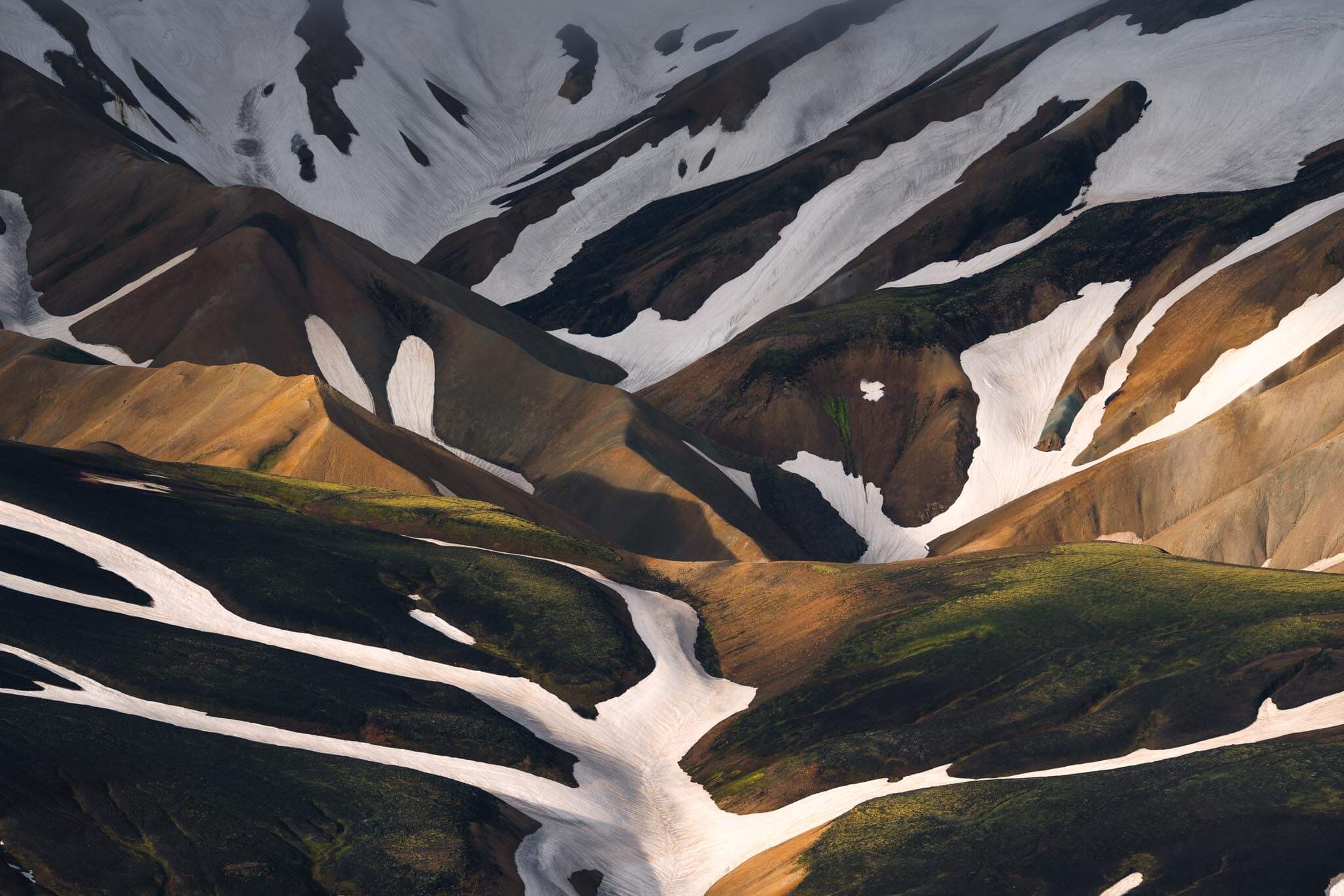 Marco Grassi : photographe d'une nature plus fantastique