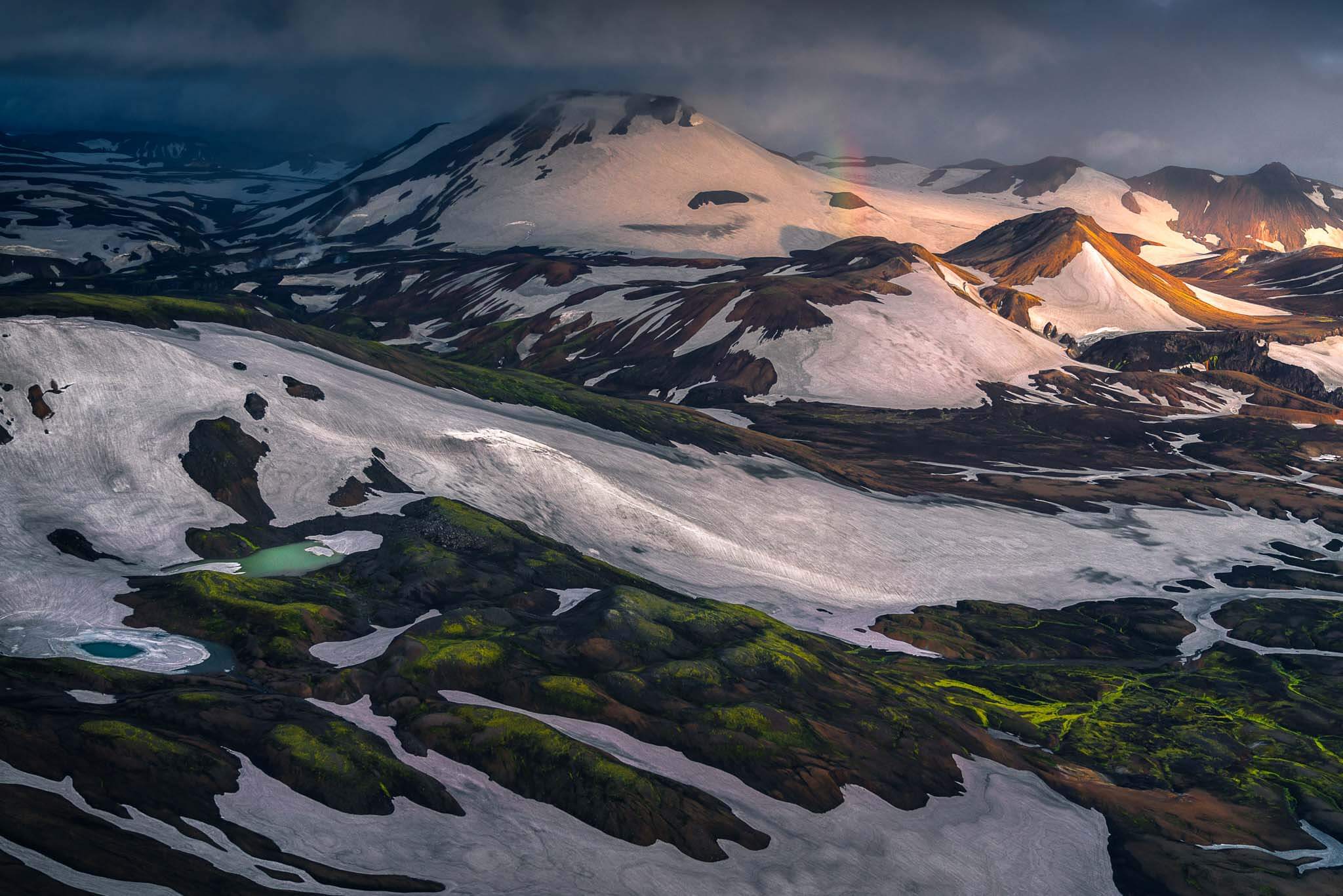 Marco Grassi : photographe d'une nature plus fantastique