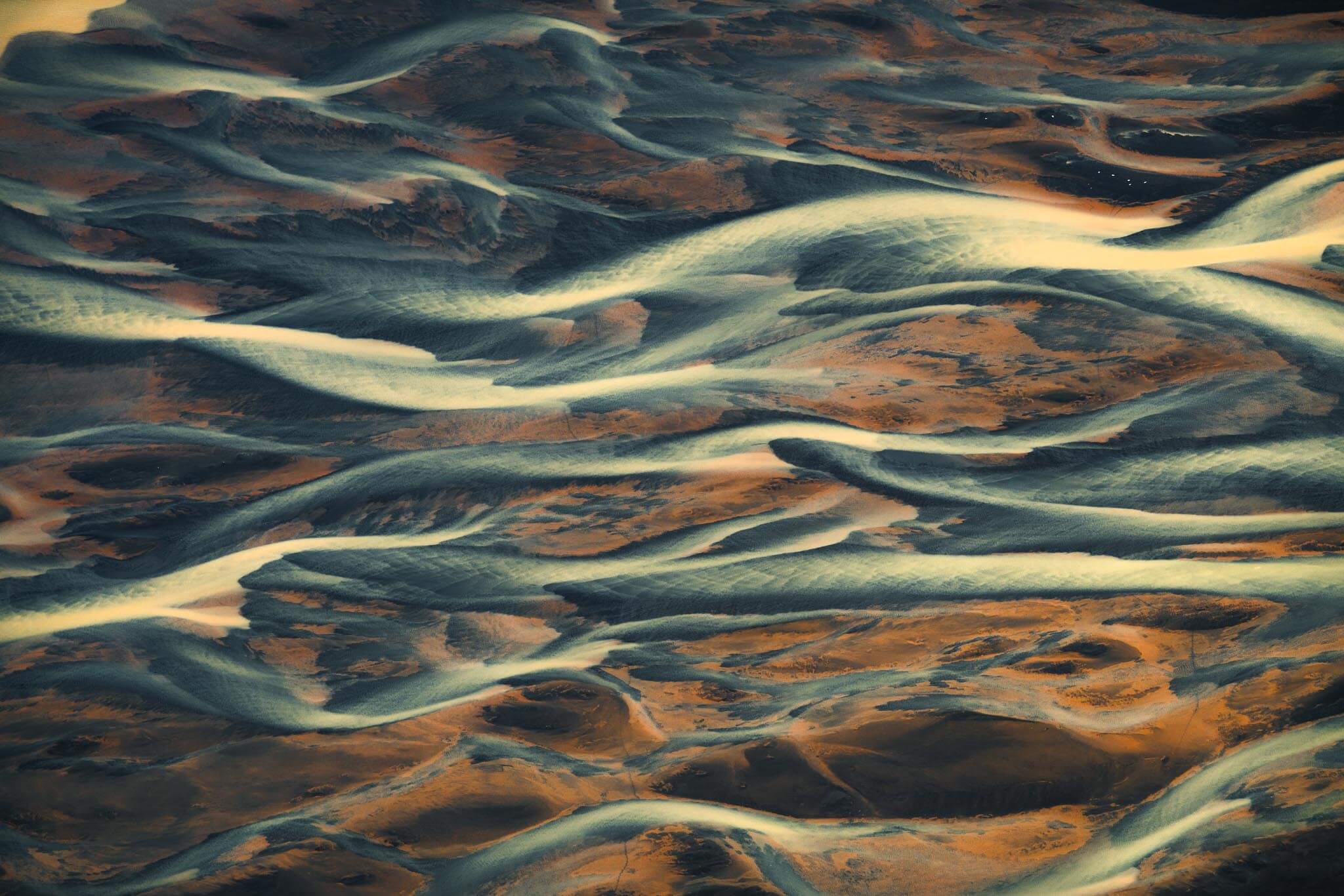 Marco Grassi : photographe d'une nature plus fantastique