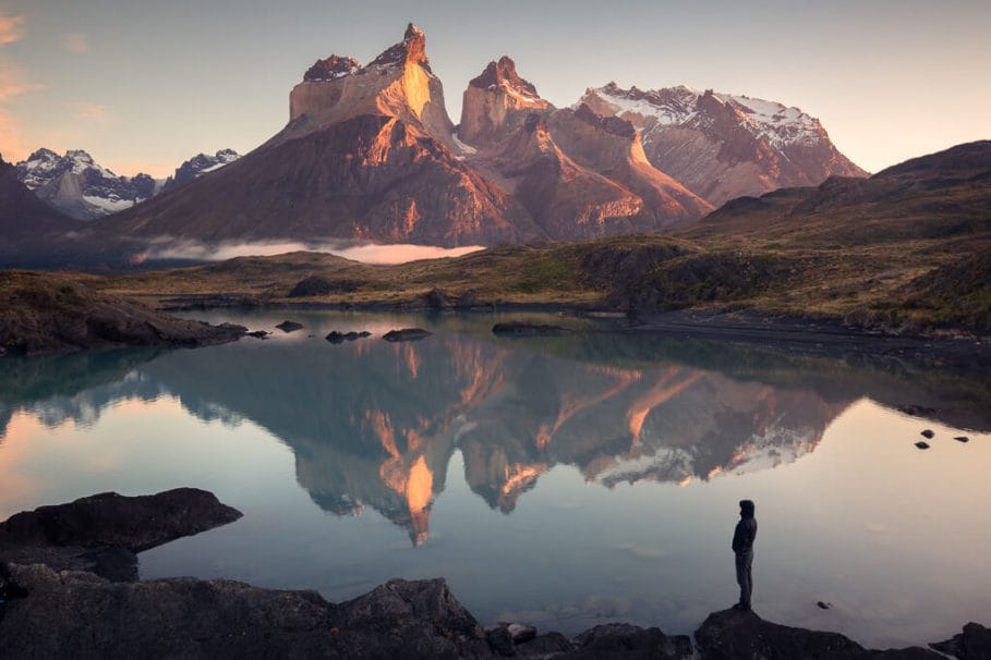 Marco Grassi : photographe d'une nature plus fantastique