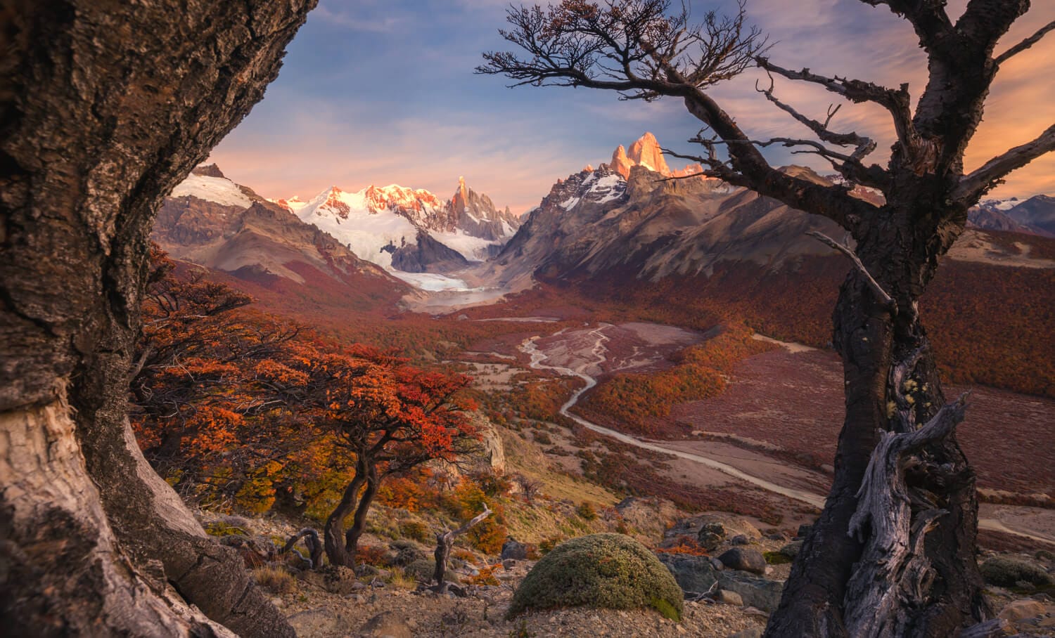 Marco Grassi : photographe d'une nature plus fantastique