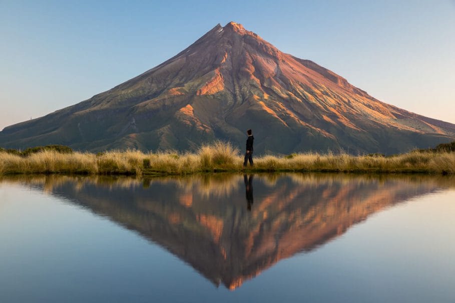 Marco Grassi : photographe d'une nature plus fantastique