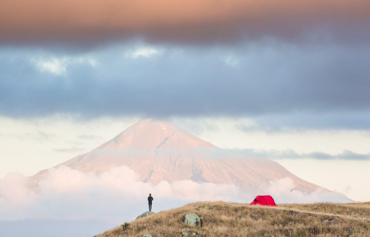 Marco Grassi : photographe d'une nature plus fantastique