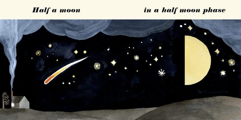Carson Ellis : la mystique illustratrice de livres pour enfants