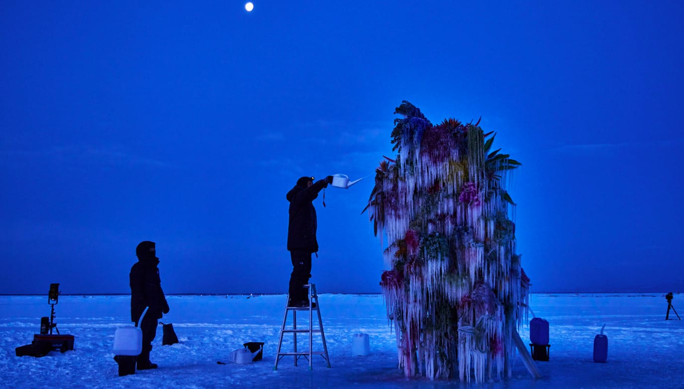 Frozen Flowers, la nouvelle sculpture envoûtante d'Azuma Makoto