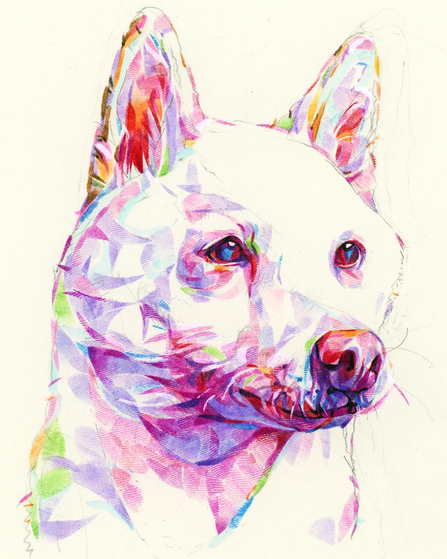Les mille portraits colorés de Tom DesLongchamp - Beware Magazine